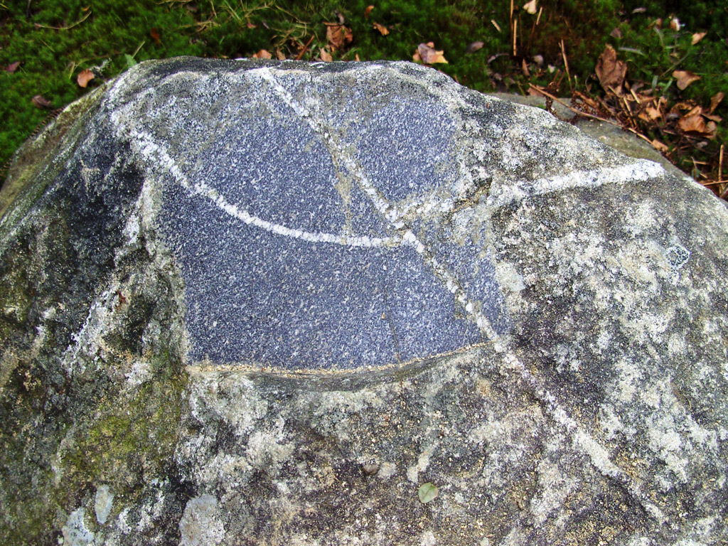 Magmatske kamnine
